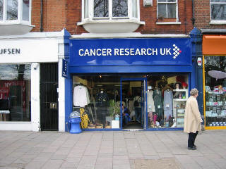cancer research, Accounts Download, News, Stores, Financial Indicators ...
